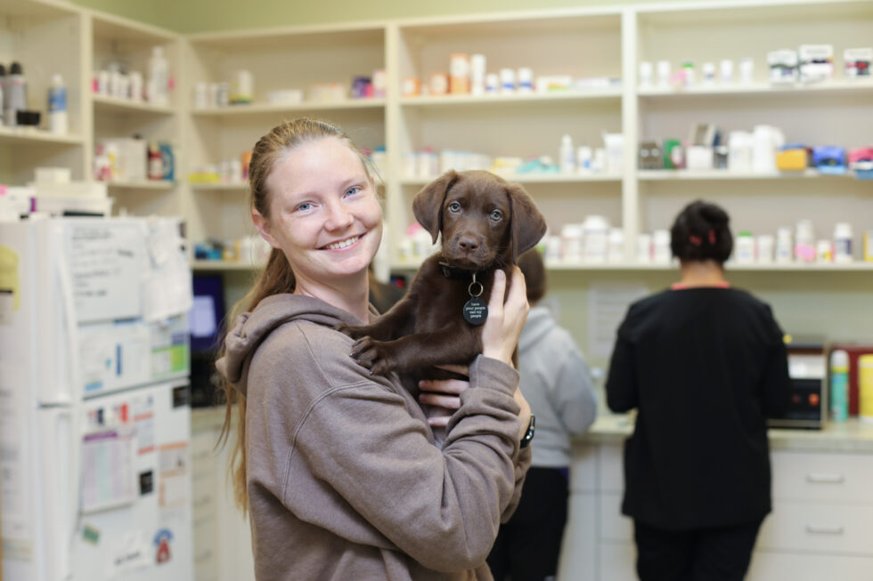 Gilbert, SC 29054 Veterinary Jobs | Lake Murray Animal Hospital